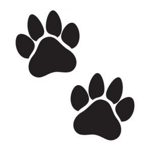 Hondenpootjes Sticker Set Van 2 Pootjes Bestellen Stickers En